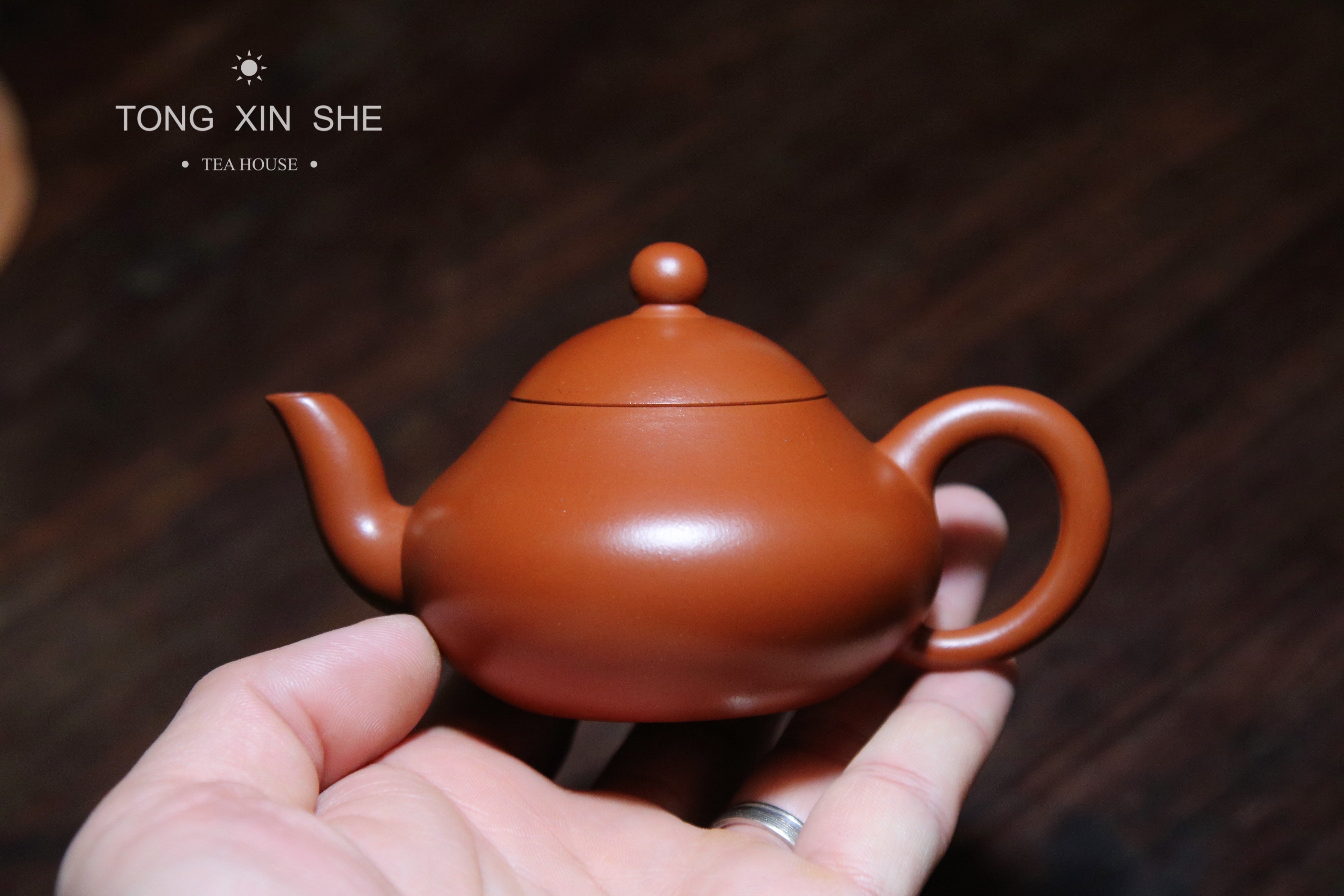 Li Xing Zhu Ni Da Hong Pao 120cc – Tong Xin She